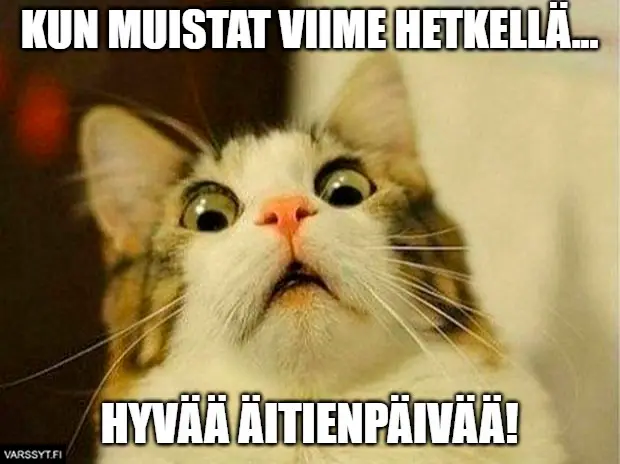 Äitienpäivä Meemit - Varssyt.fi