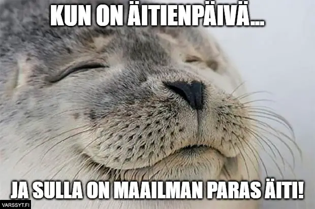 Äitienpäivä Meemit - Varssyt.fi