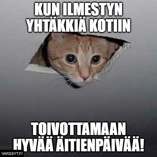Äitienpäivä Meemit - Varssyt.fi